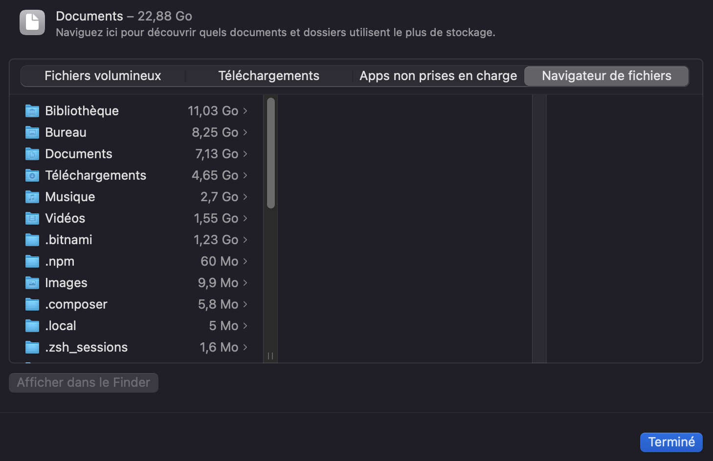 Trouver les gros fichiers volumineux et les supprimer sur macOS